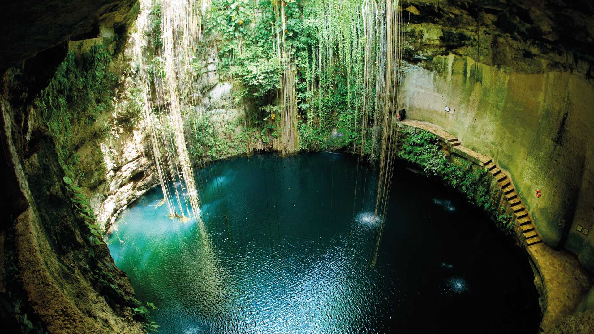 La ruta de los cenotes en Quintana Roo: Un viaje por tesoros naturales ...