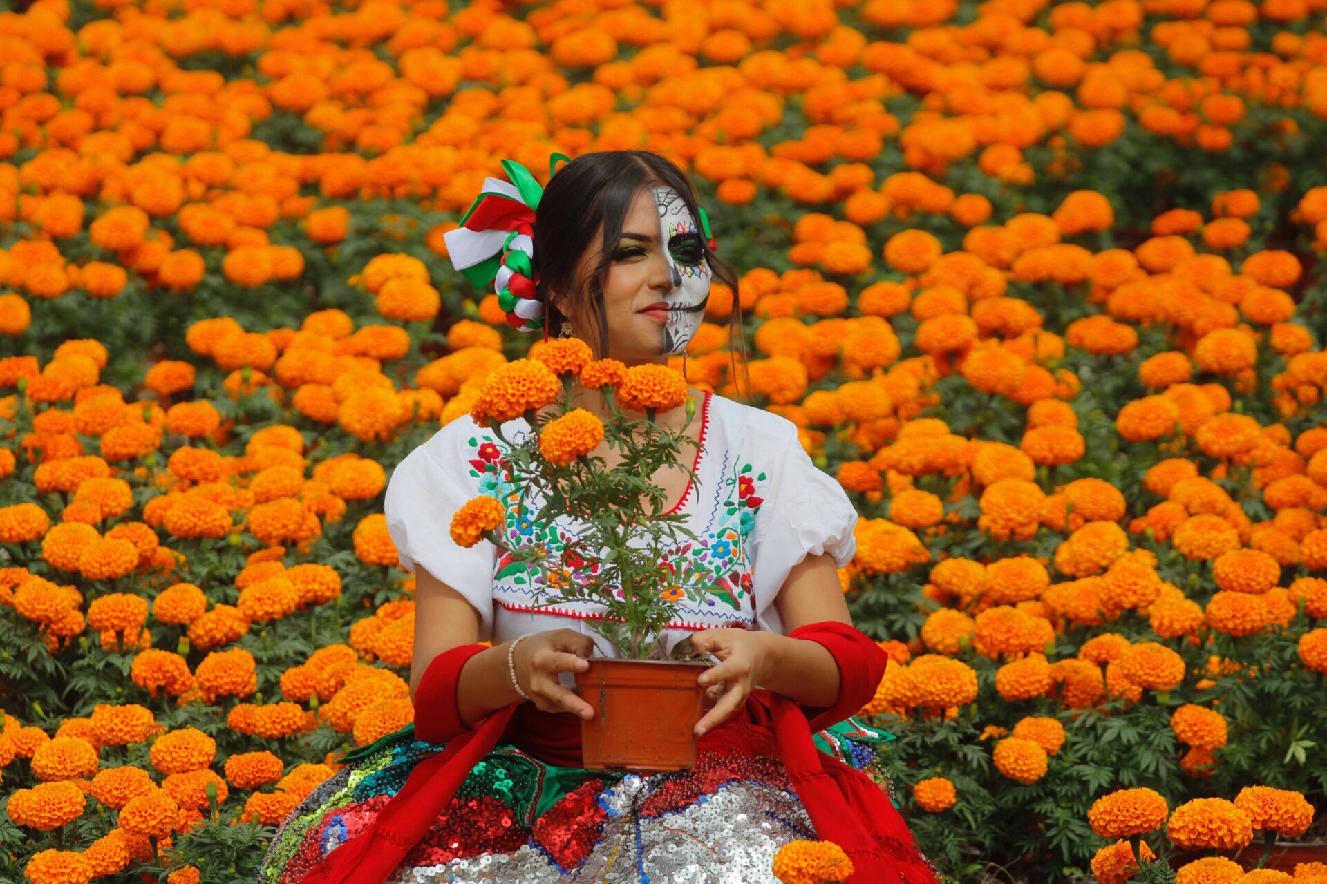 El significado de la flor de cempasúchil en el Día de Muertos - Voz de MX