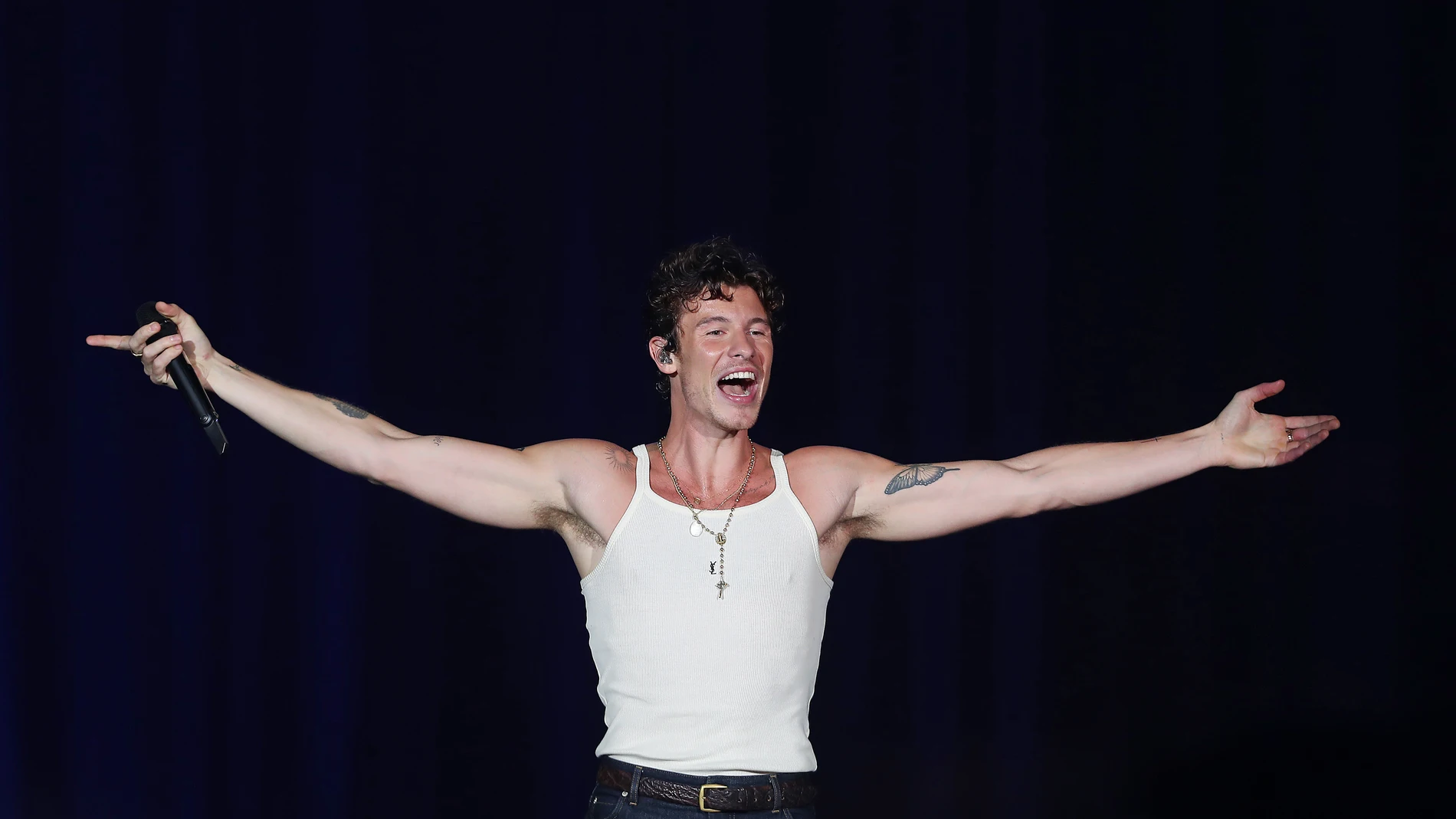 Shawn Mendes habla sobre su sexualidad - Voz de MX